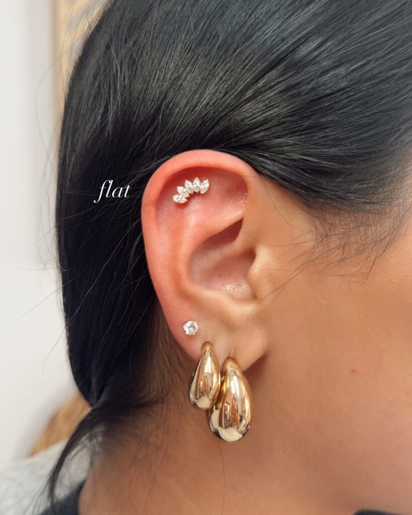 Breaking: 30 Celebrity-Inspired Ear Piercings Set to Rule 2026 Red Carpets